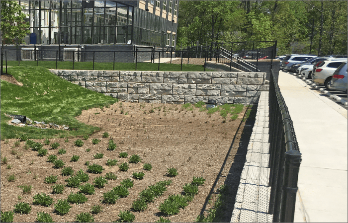 Bioretention Ponds, Rain Gardens, Bioretention Basins - MagnumStone™